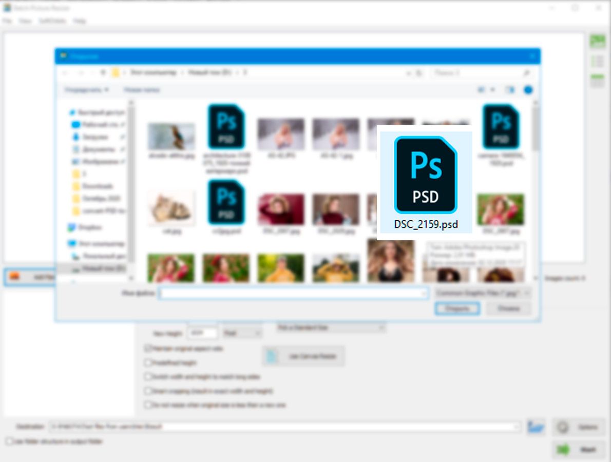 Batch PSD to JPG Converter Software | Free Download