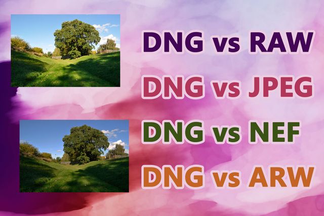 DNG to JPG Converter Software - Free Download - Windows 11, 10