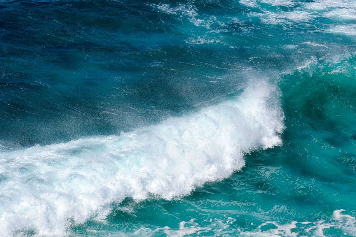 Oil Painting Software for PC - Free Download