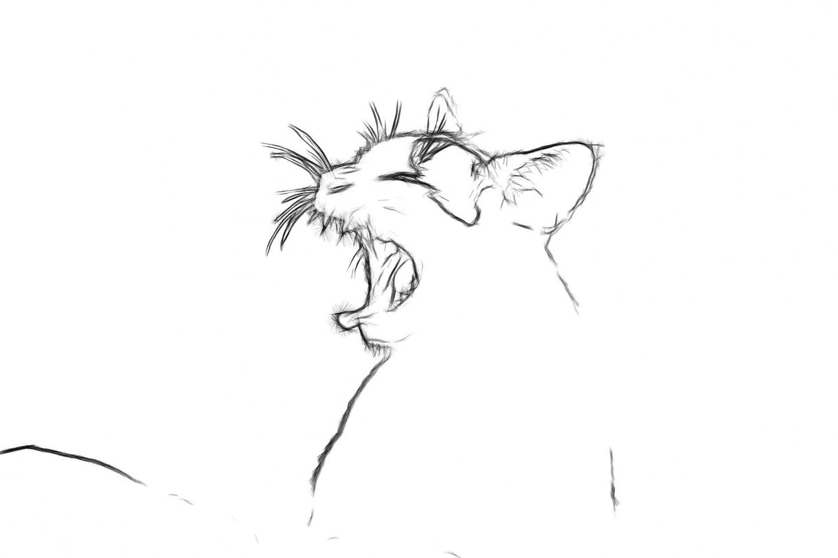 Picture Outline Maker | Turn Photo Into Line Drawing with AI