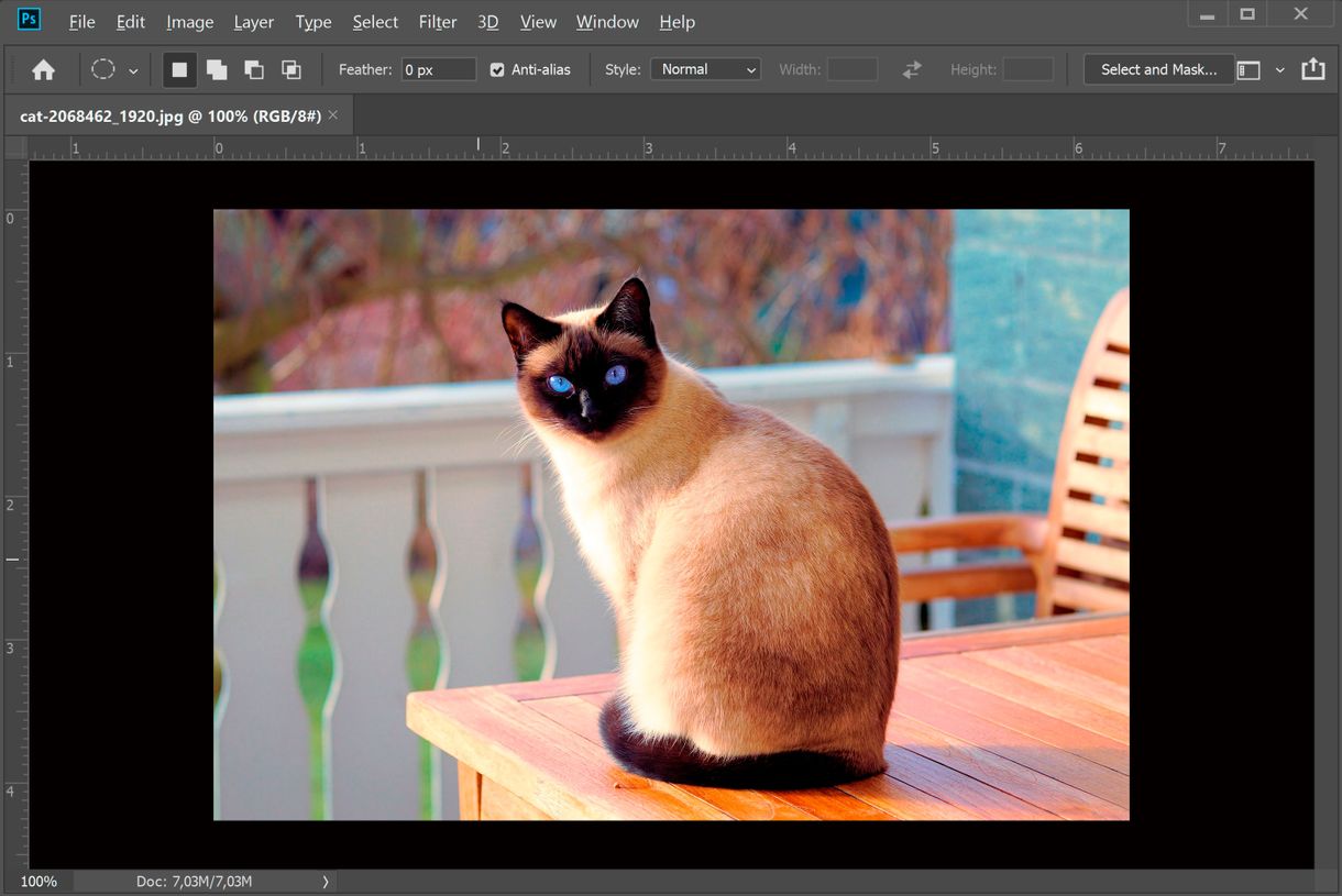 Picture Outline Maker | Turn Photo Into Line Drawing with AI