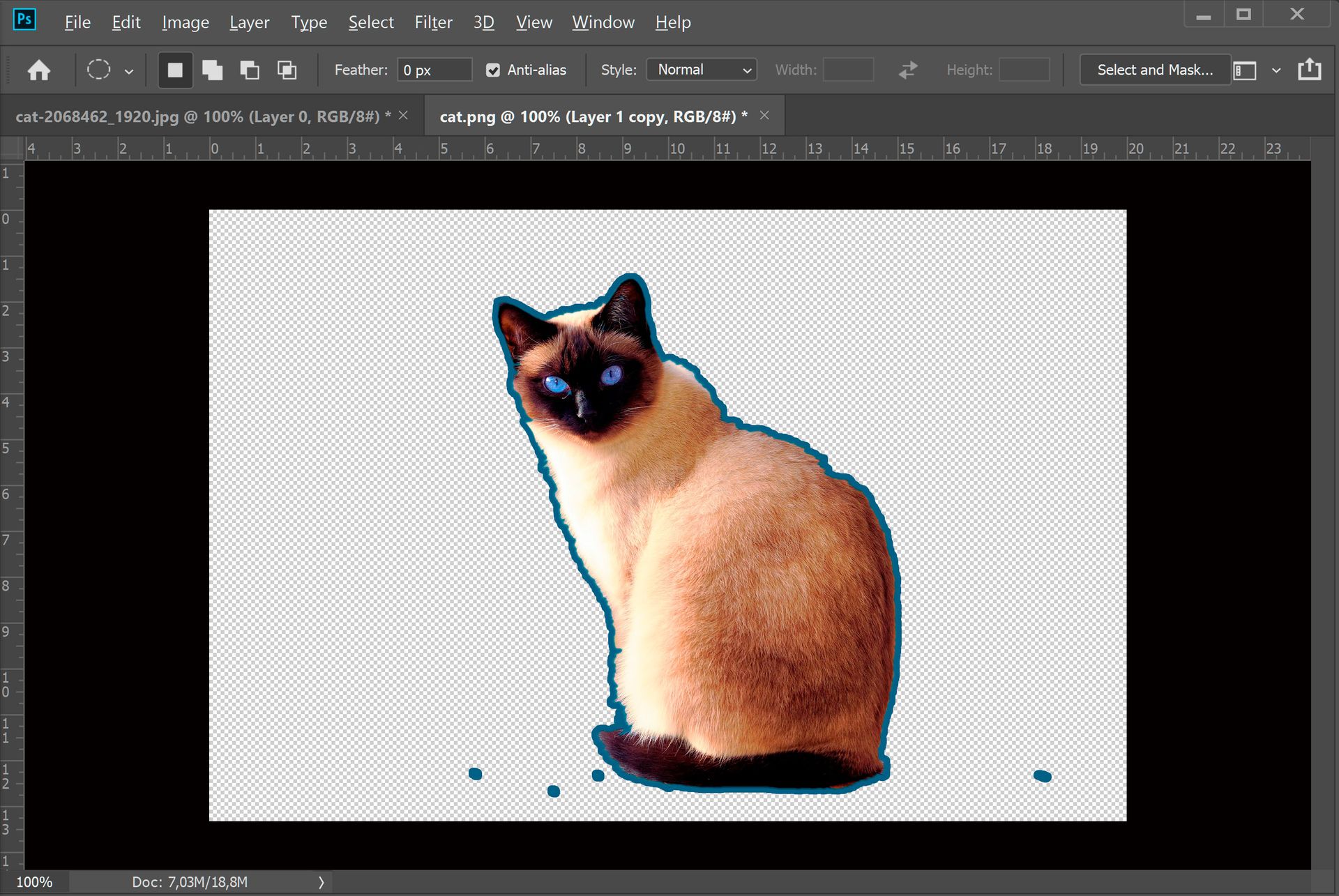 Picture Outline Maker | Turn Photo Into Line Drawing with AI