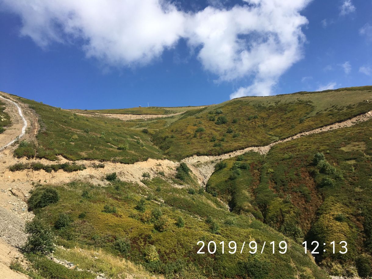 Timestamps: How to Add Date and Time Stamp to Photos Already Taken on ...