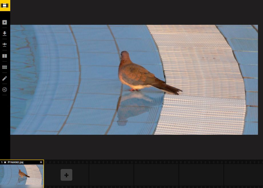 How To Fix Out Of Focus Pictures Software Free Download how-to-fix-out-of-focus-pictures-software-free-download