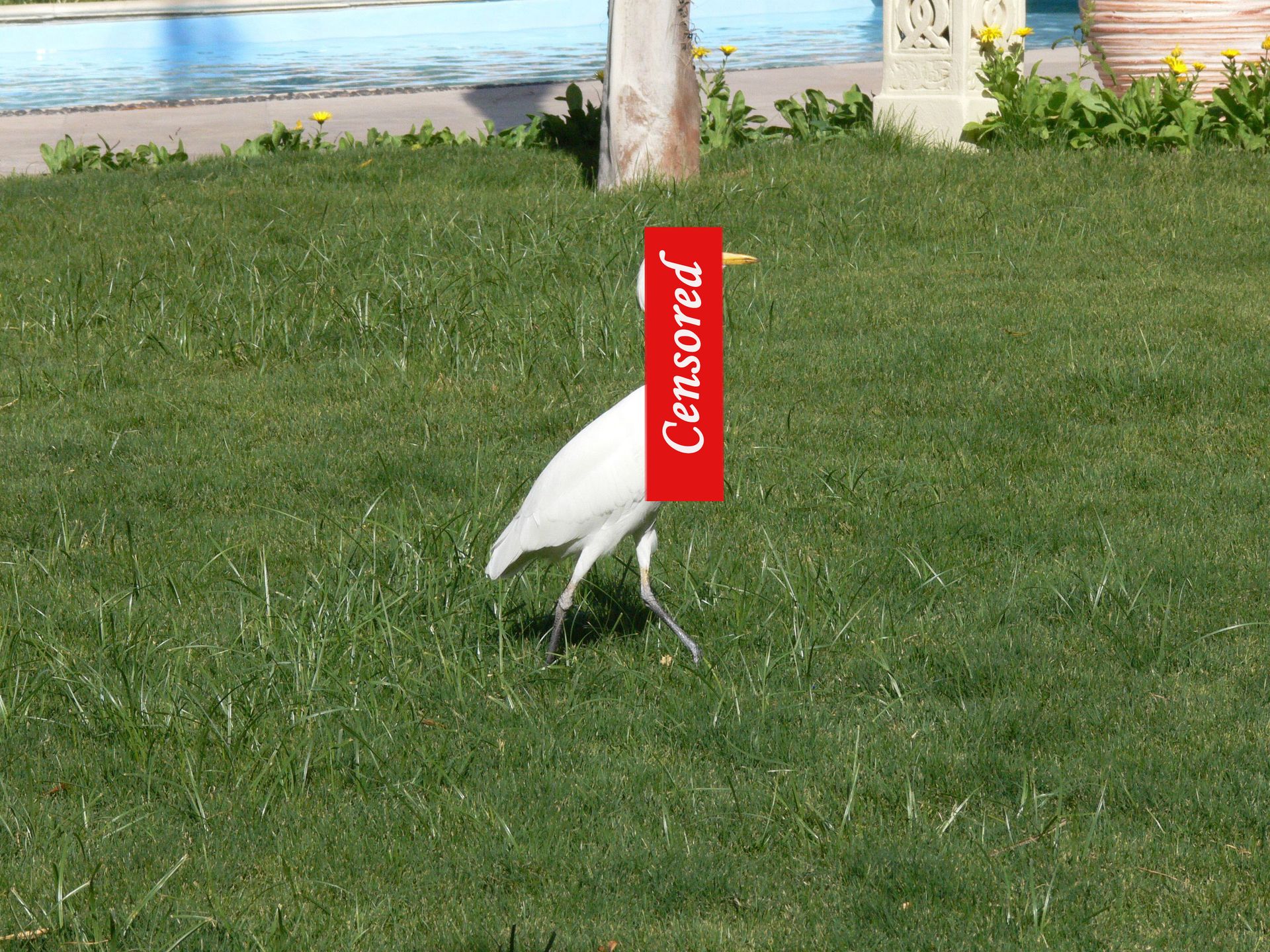 Censor Remover Tool: How to Remove Censor from Image