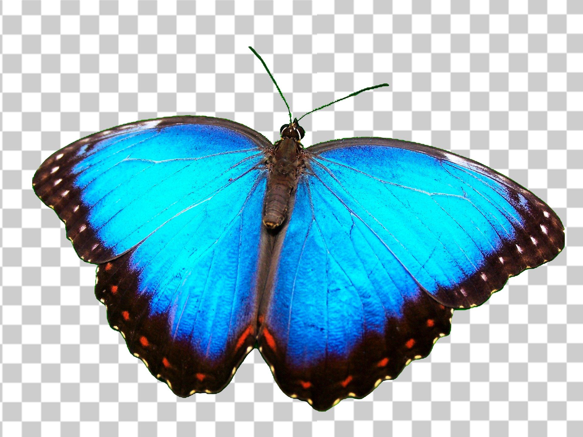 Photo Background Remover Software For PC Free Download