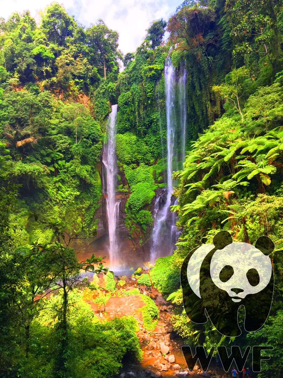 Batch Watermark Software For PC - Free Download