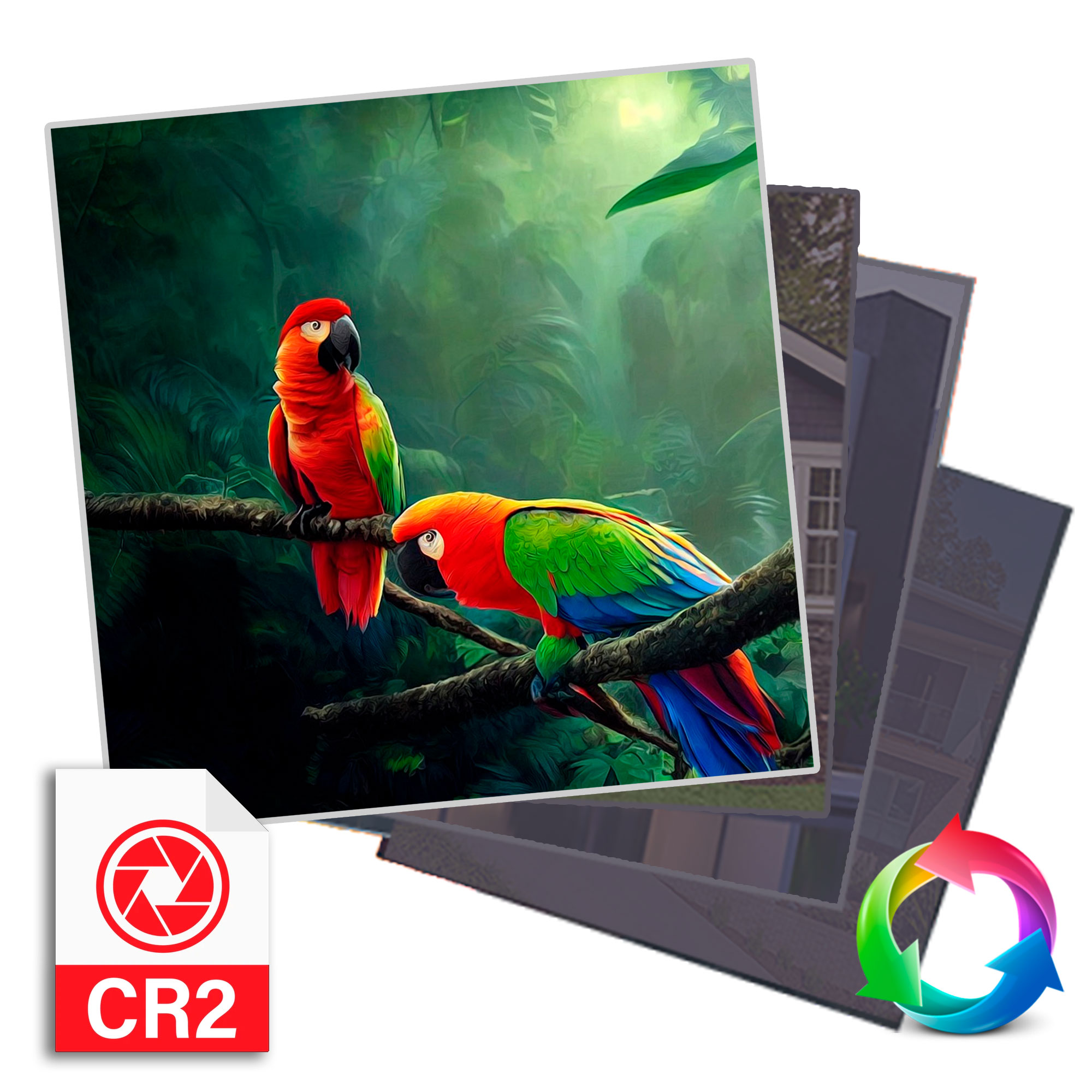 CR2 to JPG Converter Software [Free Download] - Windows 10, 11
