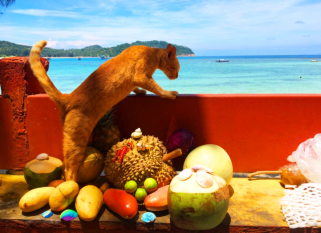 How to Unblur an Image - Fix Blurred Photo in Just a Click.